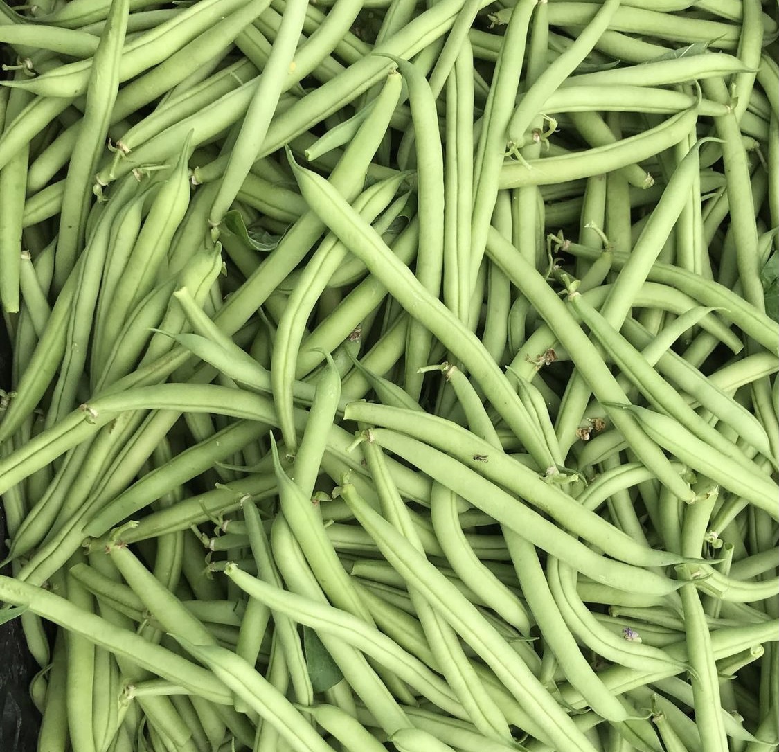Bountiful Beans - Cattail Organics